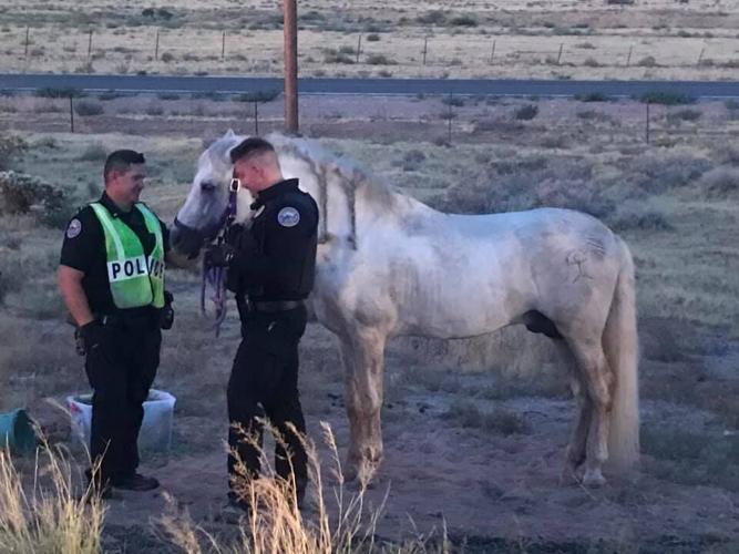 Mesquite Police help calm down agitated horses in trailer incident on I ...