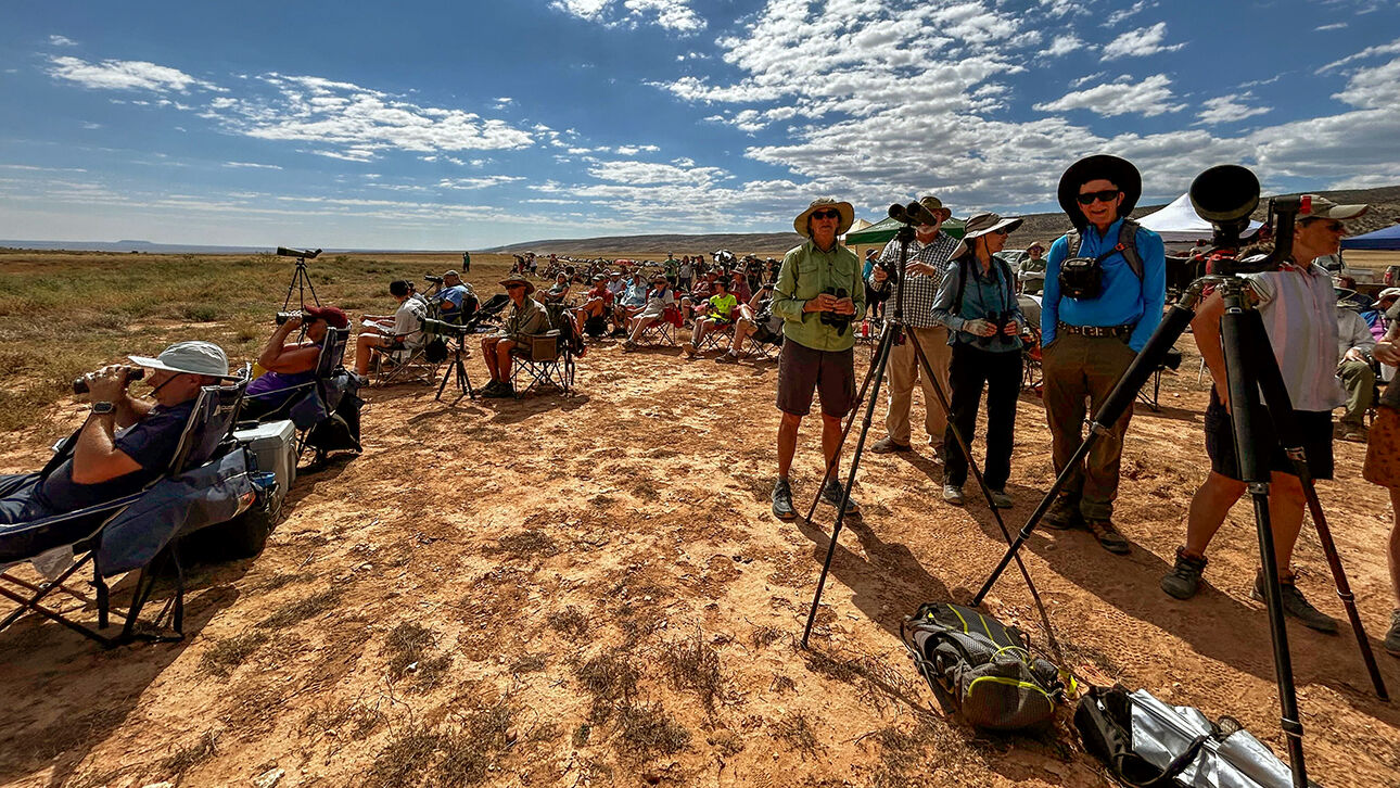 Hundreds celebrate as young condors soar for the first time at ...