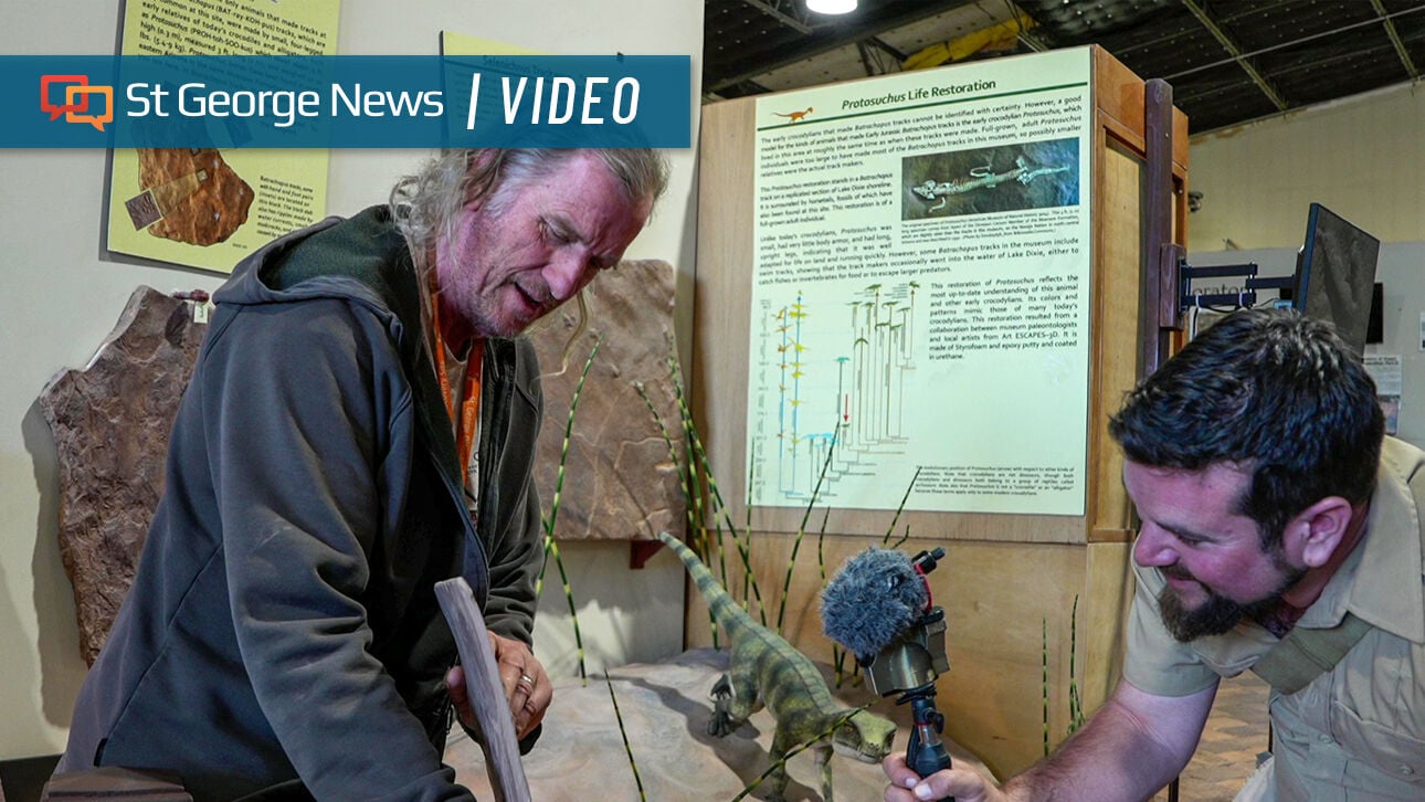 Livestreamer aims to boost support for St. George 'emergency' fossil ...