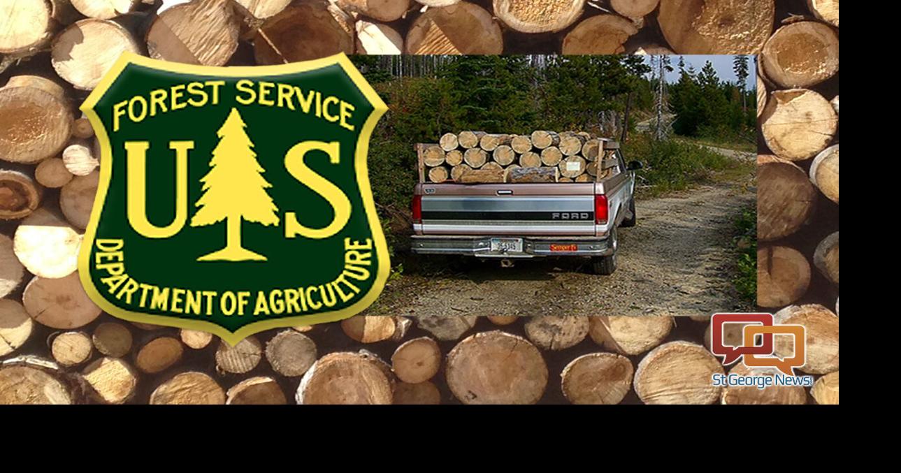 Firewood cutting permits available for North Kaibab National Forest ...
