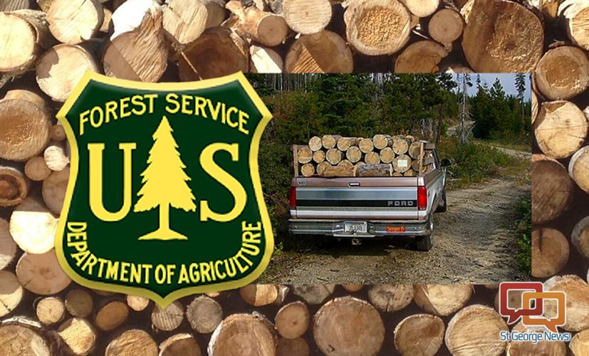 Kaibab National Forest offers firewood cutting permits for 2016 season ...