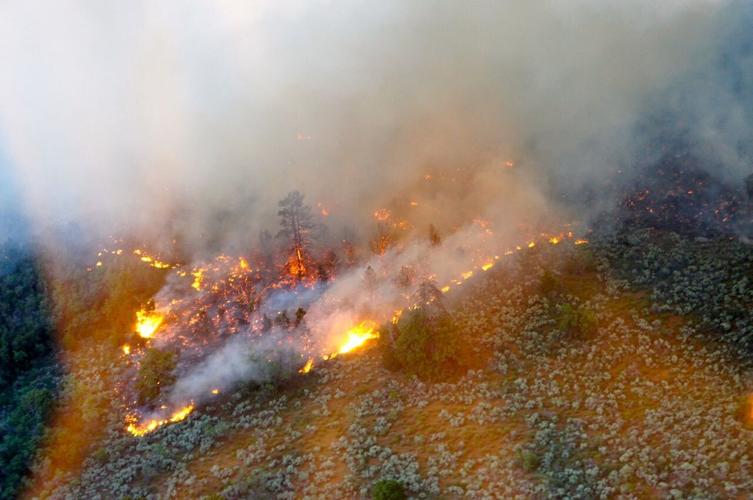 Arizona Strip fire jumps to 2,043 acres, Sand Cove fire is stable ...