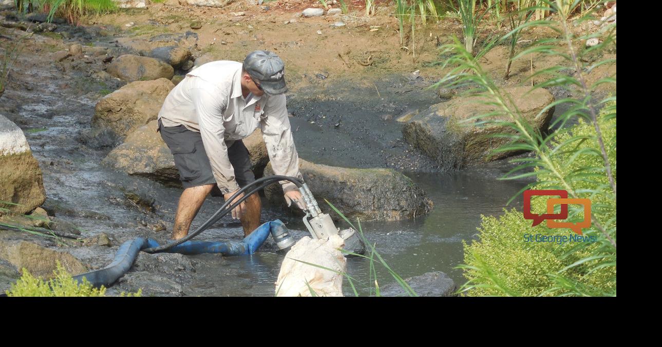 No dumping; fish removal begins at Desert Garden | Government ...
