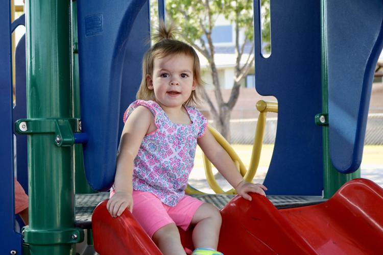 Little Valley Elementary unveils all-inclusive playground made possible ...