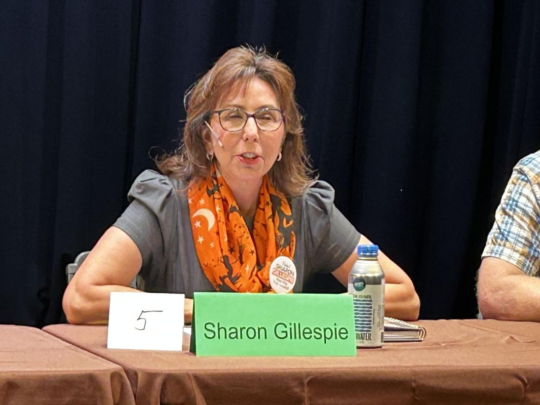 Ivins election guide: Candidates weigh in on matters of water, growth ...