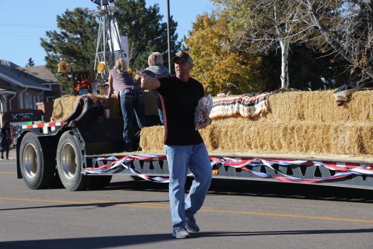 Video, photo gallery: Cedar City’s annual sheep parade | Events ...