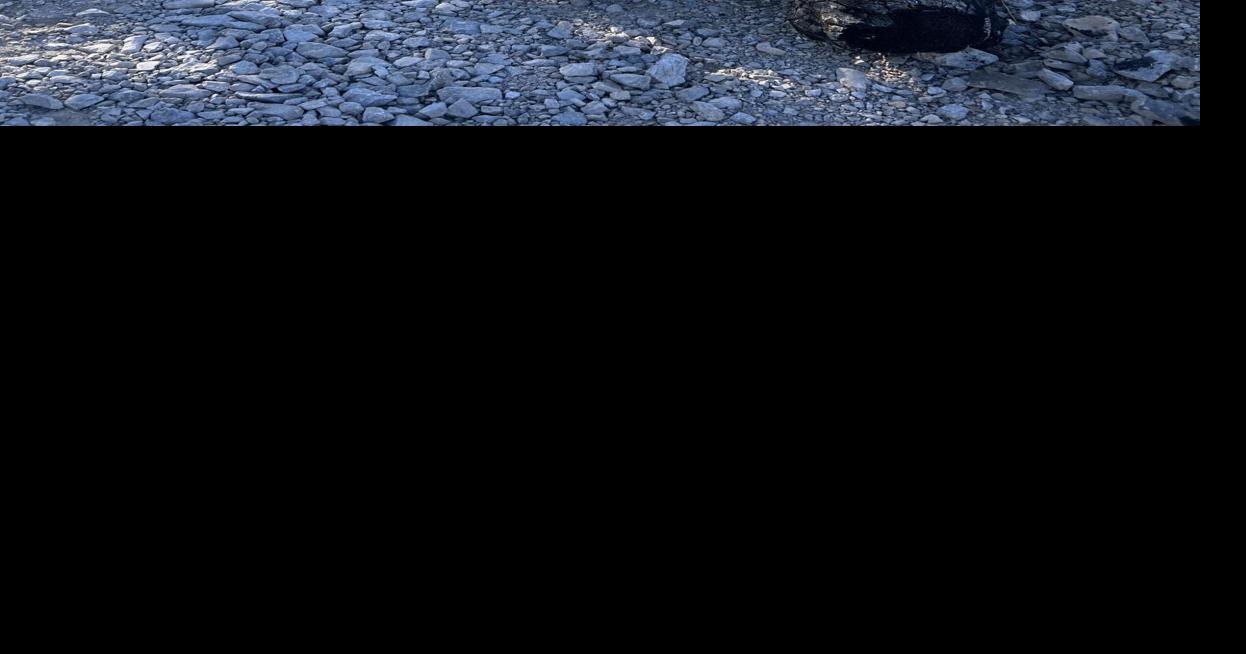 ‘Pretty intense’: Climbing group discover wildfire in Southern Utah ...