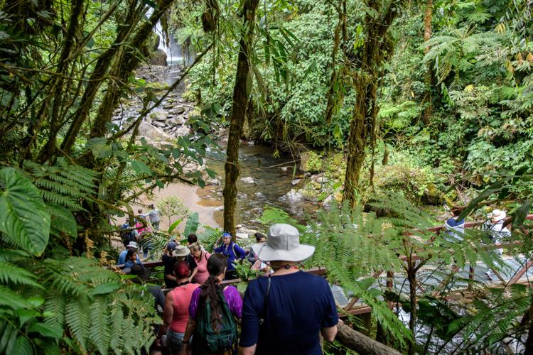 What's driving the shift towards nature-based travel? | Health and ...