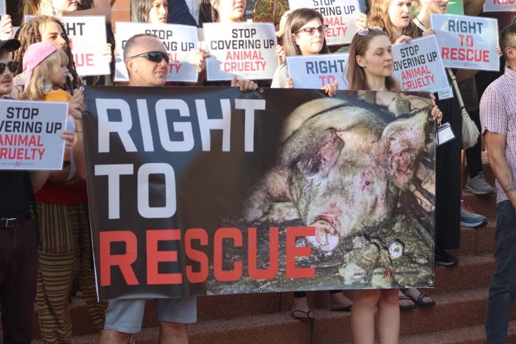 ‘Elevate the message’: Animal rights activists protest in St. George ...