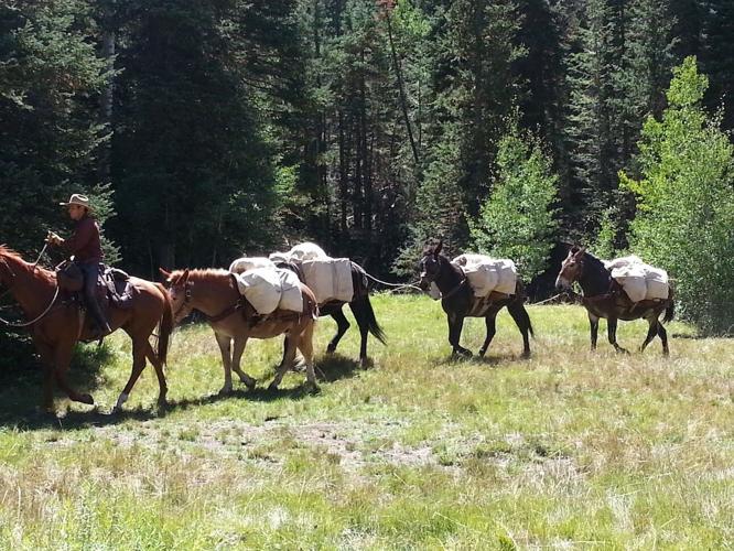 Maintaining solitude, Southern Utah’s Pine Valley Ranger District trail ...