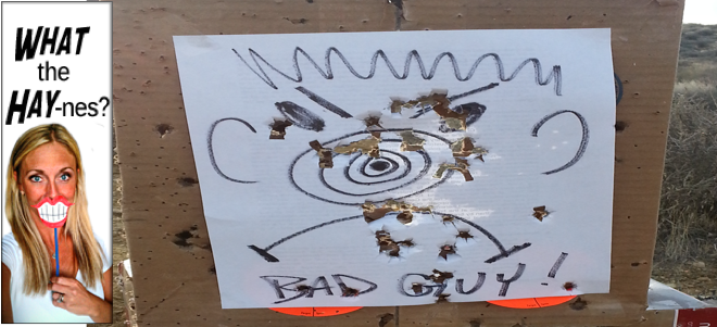 What the HAYnes? Watch out ‘Bad Guys’ the girl’s got a gun | Opinion ...