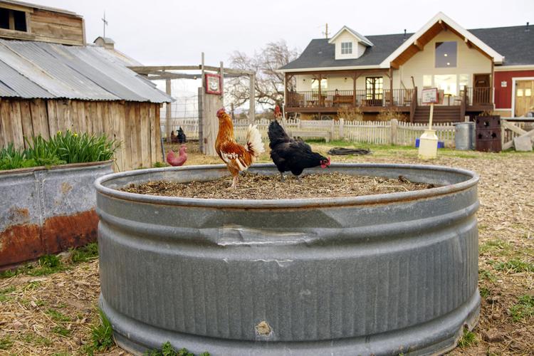 ‘More than just dirt’: Southern Utah farmers discuss modern industry ...
