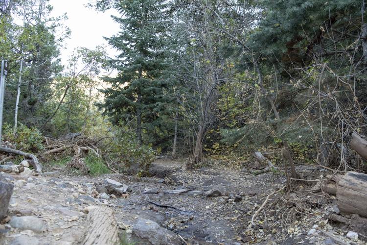 Southern Utah organizations seek to restore popular Parowan Canyon ...