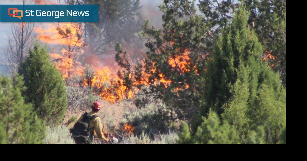 Fire official warns Red Cliffs Desert Reserve committee of potentially ...