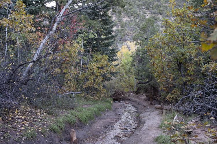 Southern Utah organizations seek to restore popular Parowan Canyon ...