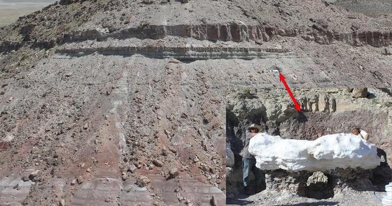Scientists unearth 9 ton quicksand block containing Utahraptor ...