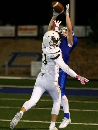 Saturday Breakdown: Dixie rises to top; Panthers, Warriors get crucial wins | Canyon View ...