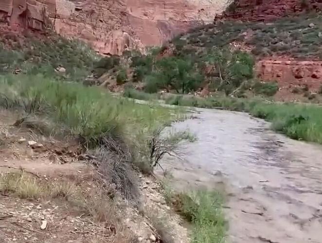 ‘Pulling together for a stranger’: Hikers recall rescuing woman swept ...