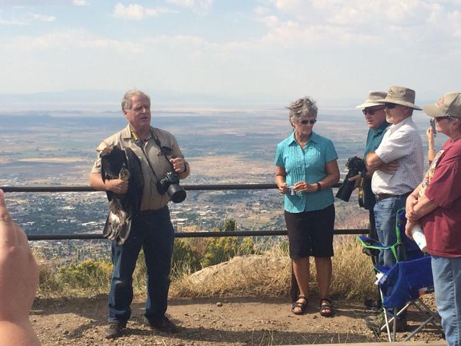 Golden eagle released carrying 7,000 prayers for 1st responders | Local ...