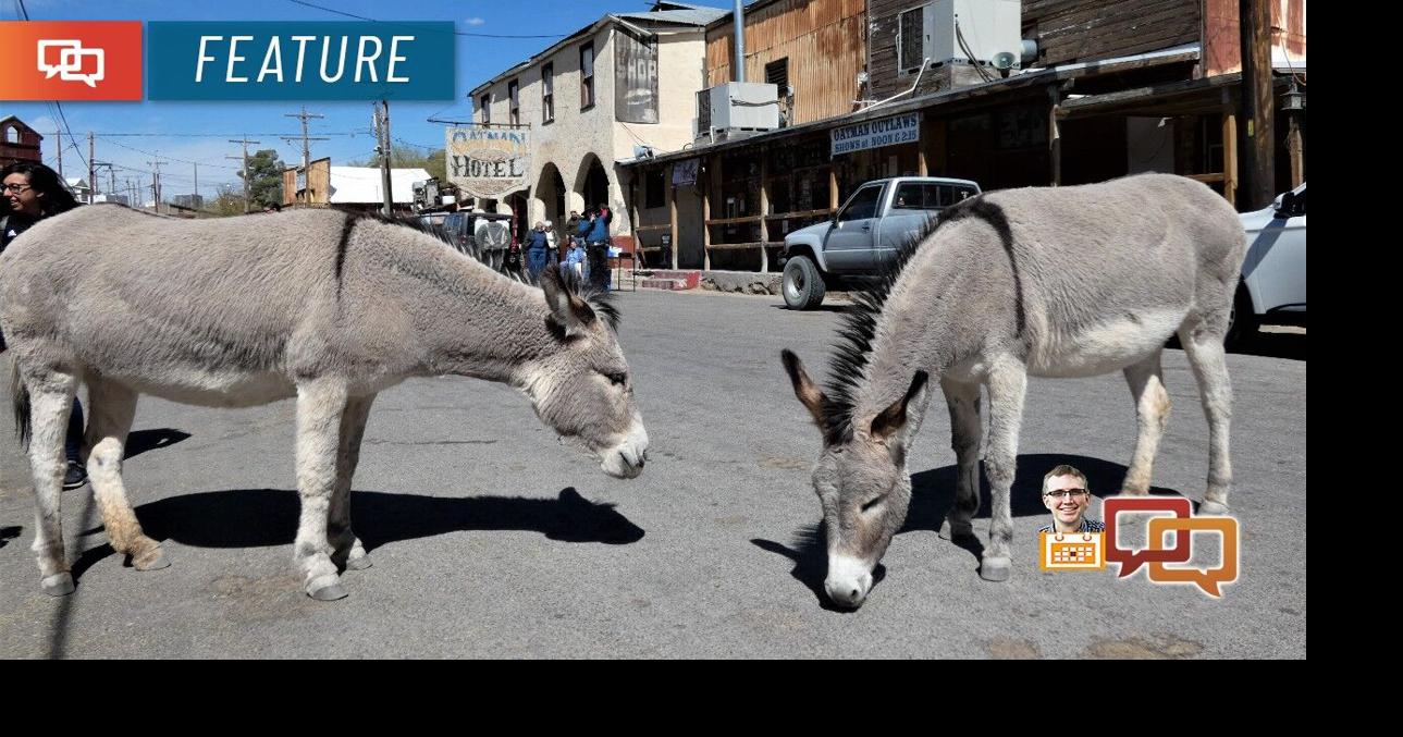 Oatman day: A center of Western lore and lovable burros in Arizona ...