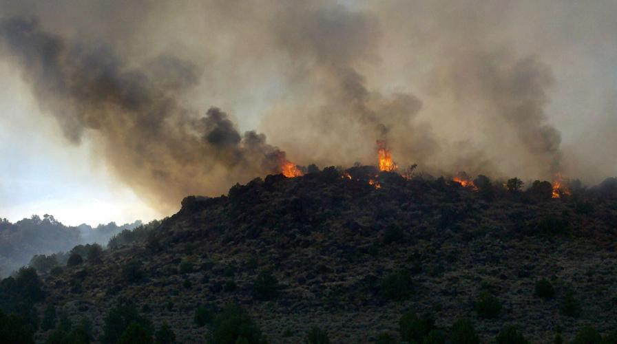 Lightning-caused wildfire rapidly spreading, may threaten Veyo ...