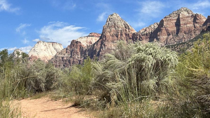 ‘A place of peace and solitude’: Springdale mulls future of community ...