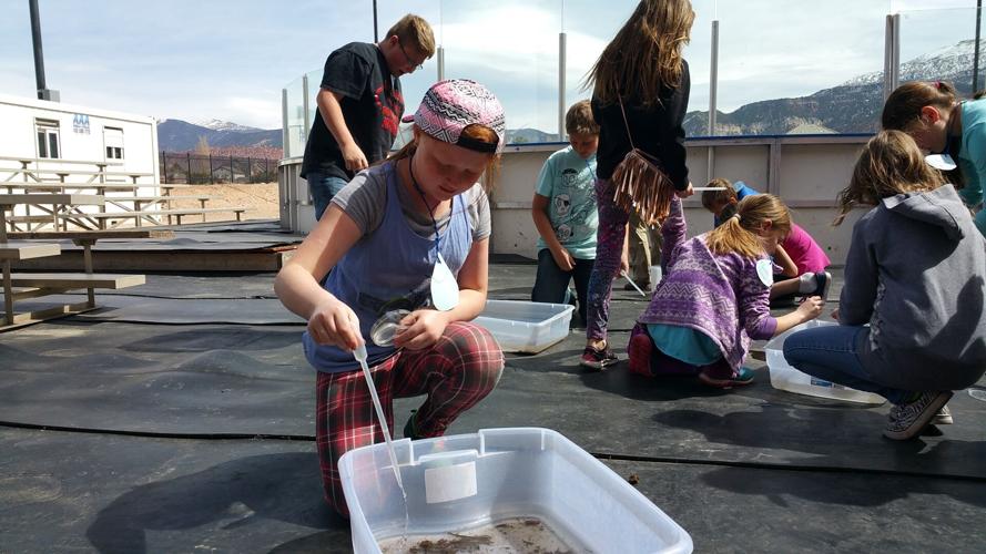 Water fair set to educate children about conservation | Education ...