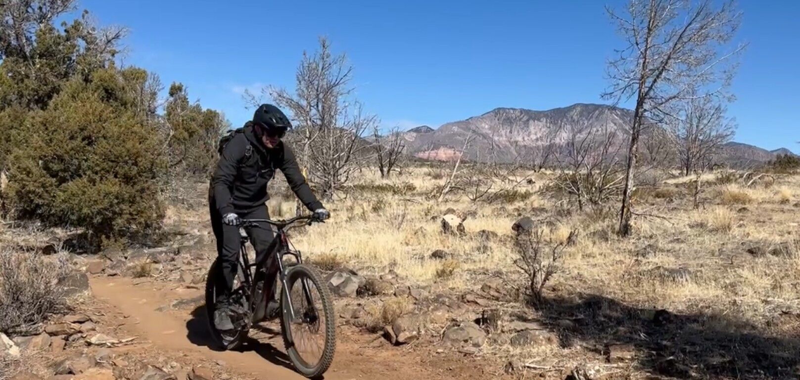 New Zion Forever Project Field Guide highlights conservation and ...
