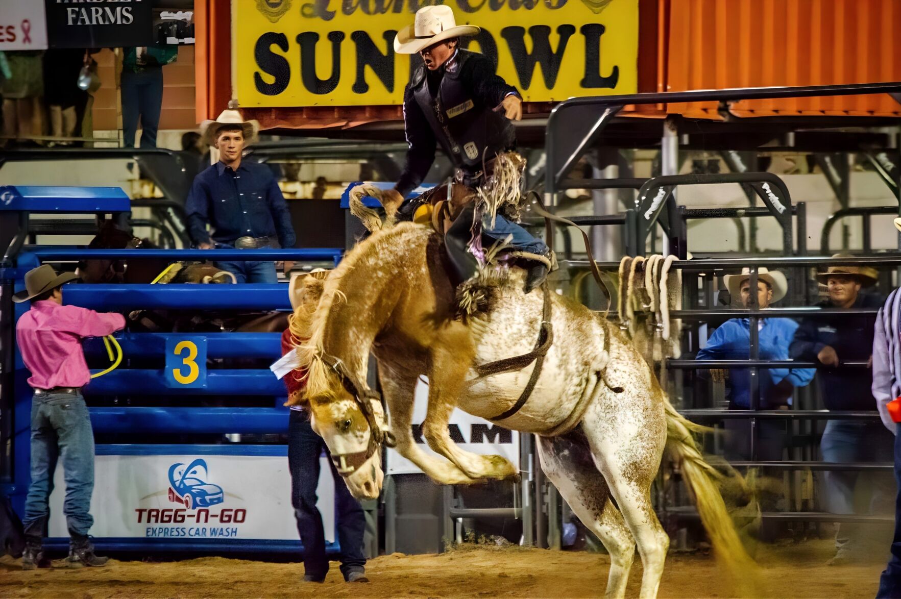 Saddle up for a wild ride at the Spring Round-Up Rodeo in St. George ...