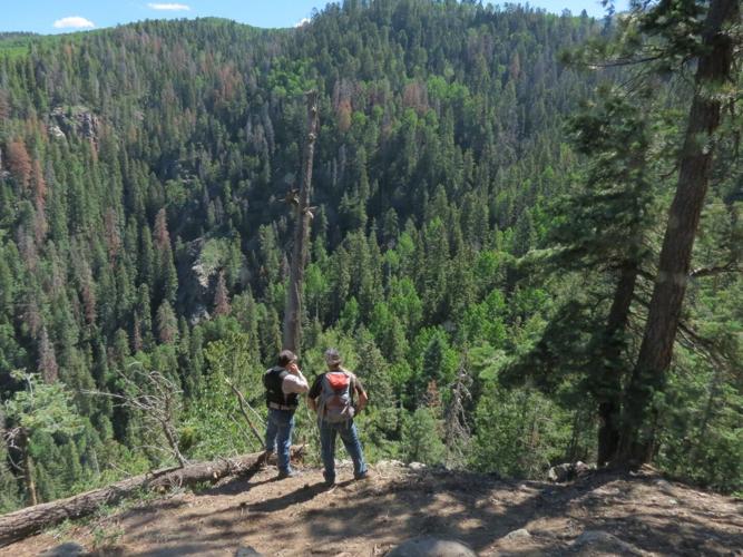 Remains of 13-year-old Dylan Redwine found in Colorado | News ...