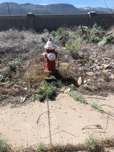 Cedar fire officials working to keep hydrants clear of weeds ...