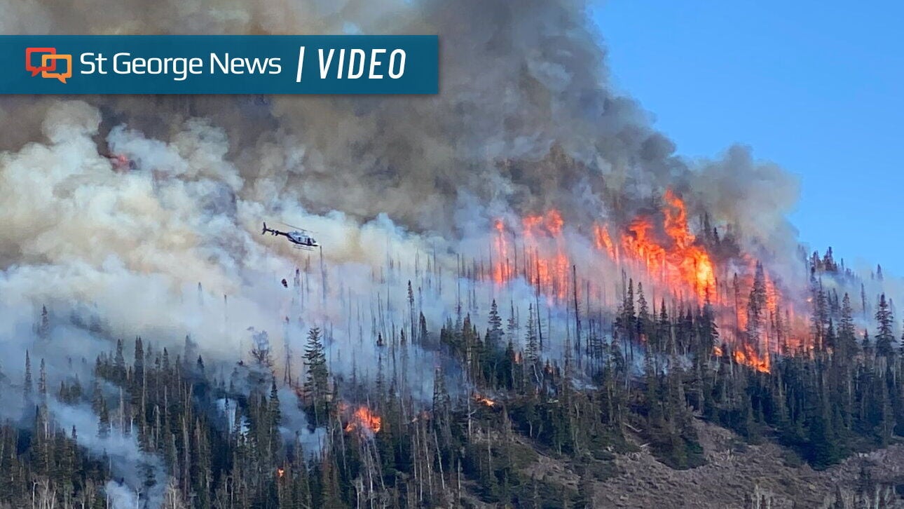 Southern Utah officials seek action; dense forest fuels driving ...