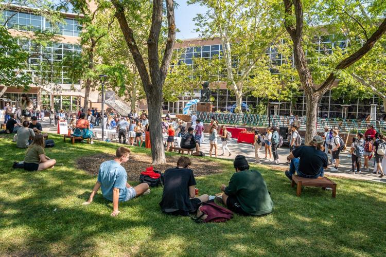 Navigating college as a freshman? 5 tips from University of Utah ...