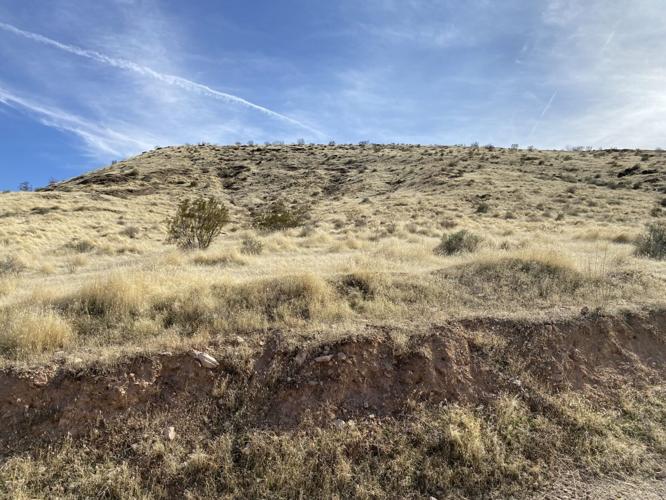 Considering both cost and efficacy, cheatgrass removal and rangeland ...
