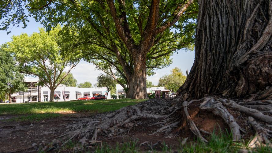 Photo Gallery | | stgeorgeutah.com