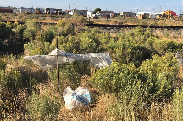 Volunteers invited to participate in trash cleanup project along state ...