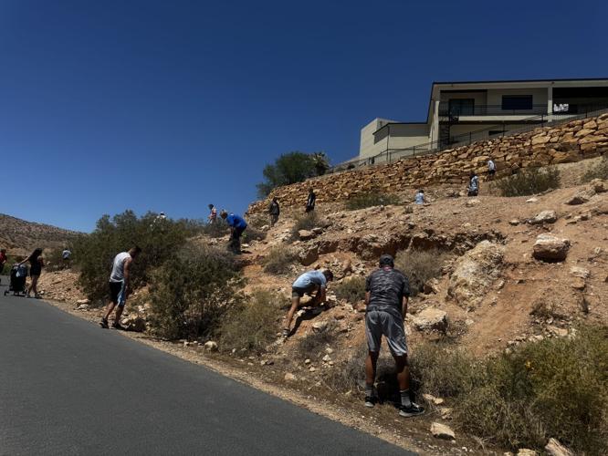 'Get out there early': Hit the trails for one last chance to find the ...