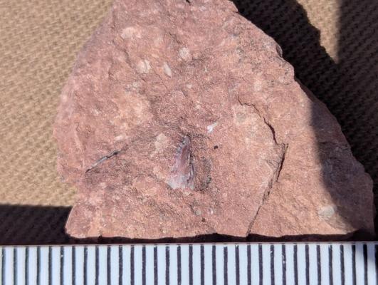New solution saves St. George quarry that's yielded over 1K 'incredible ...
