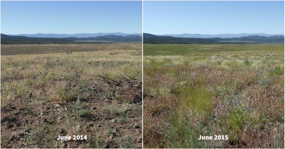 How has Bureau of Land Management’s emergency stabilization program ...