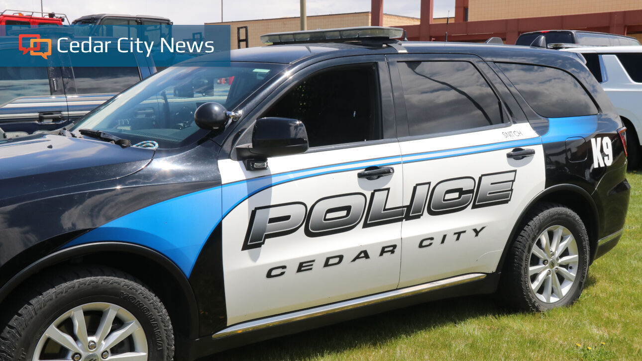 Police arrest driver wearing pink beanie after she allegedly fled scene ...