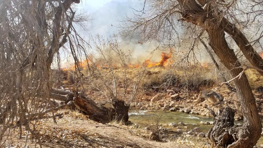 UPDATED: Fire that burned near the entrance of Zion National Park ...