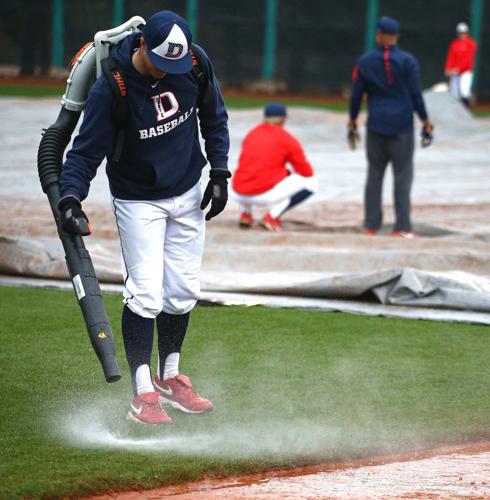 DSU baseball wins rain-shortened game vs. Saint Martin’s | Sports ...