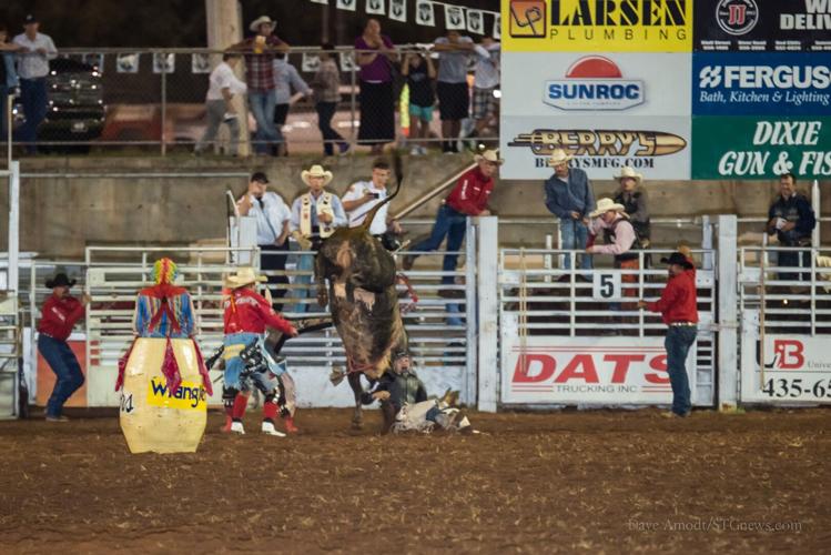 Dixie Roundup opening: ‘Nitro’ Circus, bulls and bikes; STGNews ...