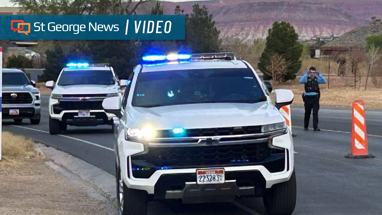 Man accused of kicking puppy arrested after witnesses call 911, St. George Police say | News ...