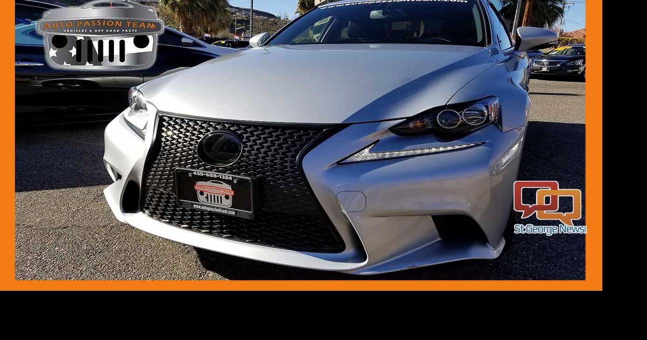 Auto Passion Team celebrates first anniversary with amazing vacation ...