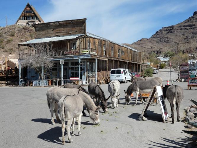Oatman, Arizona day: A center of Western lore and lovable burros ...