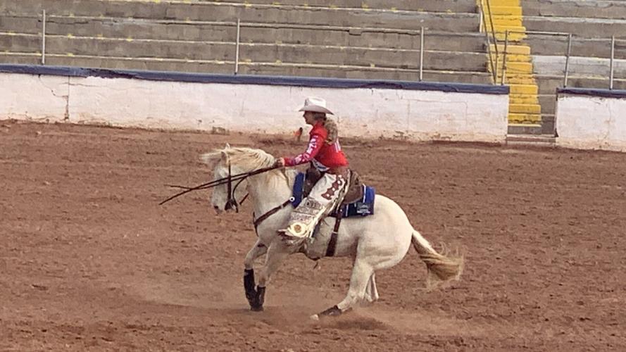 ‘My horse is my best friend’: Dixie Roundup Rodeo crowns 2023 queen and ...
