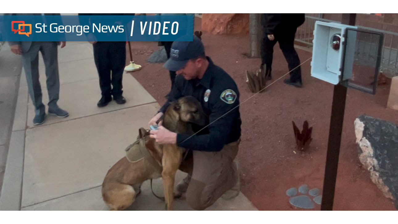 Ivins unveils new tool to help runaway pets find their way home | News ...
