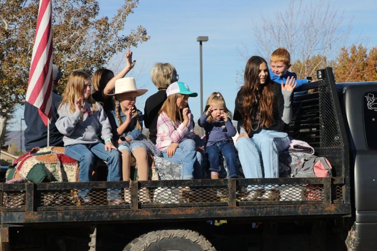 Video, photo gallery: Cedar City’s annual sheep parade | Events ...