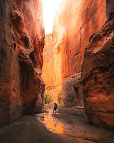 Meaningful photo from St. George photographer wins statewide contest ...